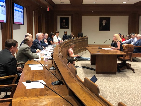 CEO TAMARA SMALL TESTIFIES IN SUPPORT OF NAIOP LEGISLATION REGARDING ...